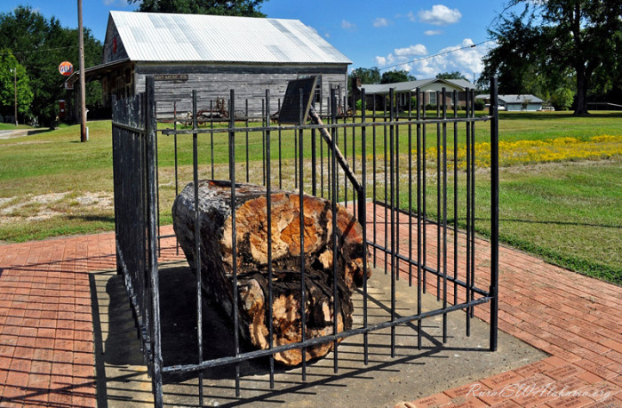 Ward Archives - RuralSWAlabama