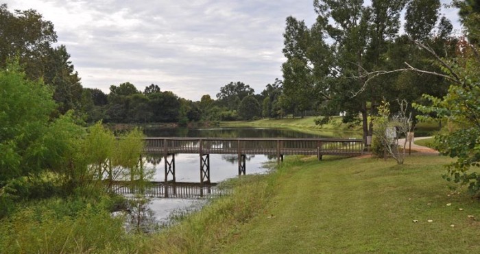 Thomaston Archives - RuralSWAlabama