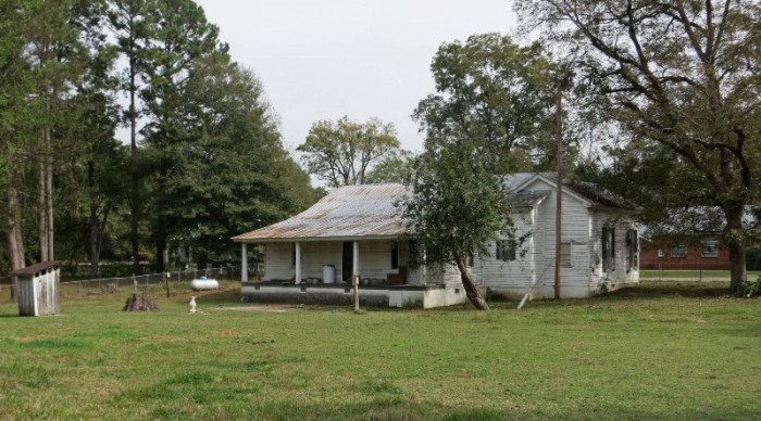 Gainesville Archives - RuralSWAlabama